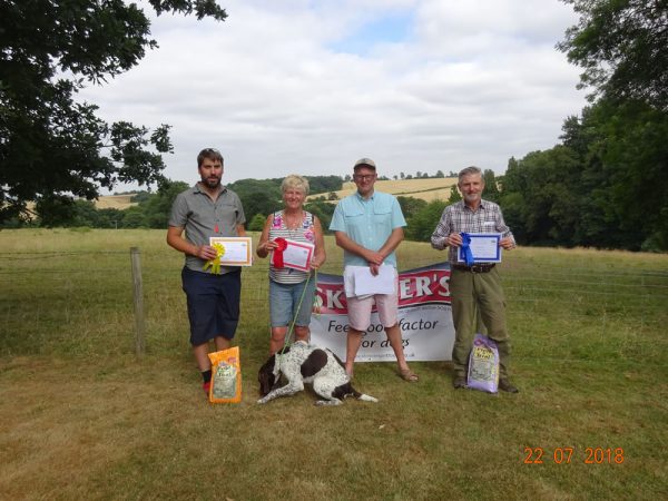 Working Tests 2018 | GSPA